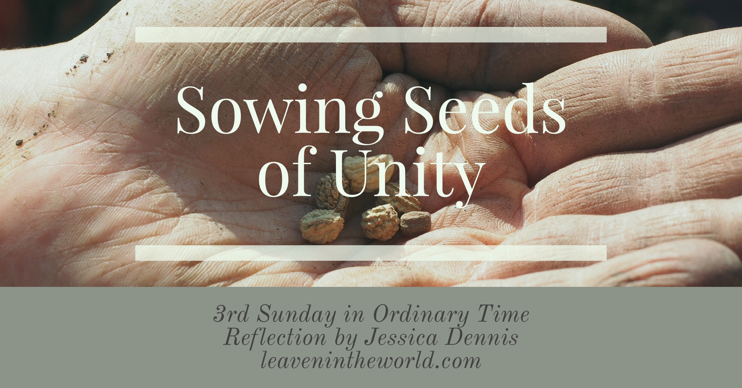REFLECTION: Sowing Seeds of Unity – Leaven in the World